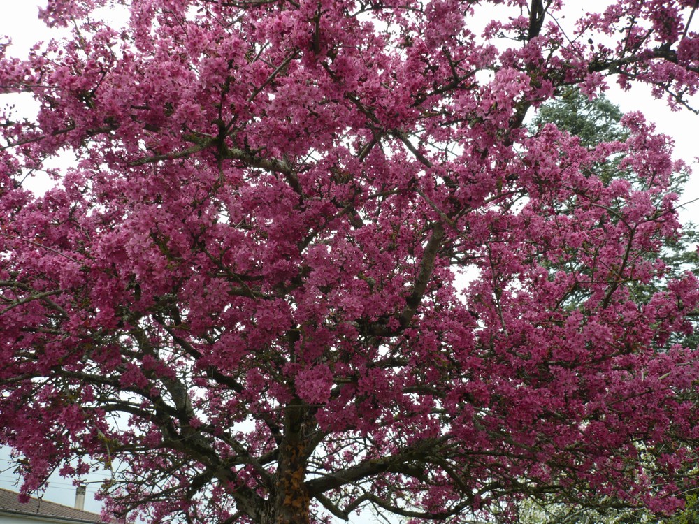 C'est quand même le printemps!